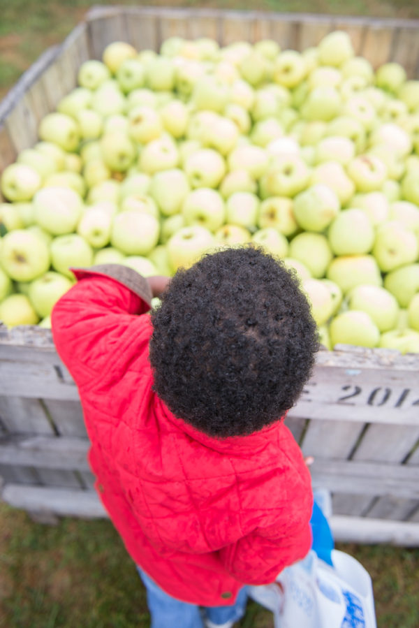 Apple Picking, Pumpkins & Pony Rides – Storied and Styled