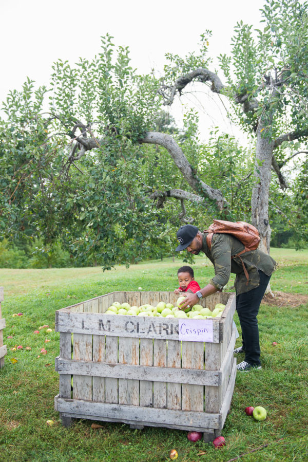 Apple Picking, Pumpkins & Pony Rides – Storied and Styled