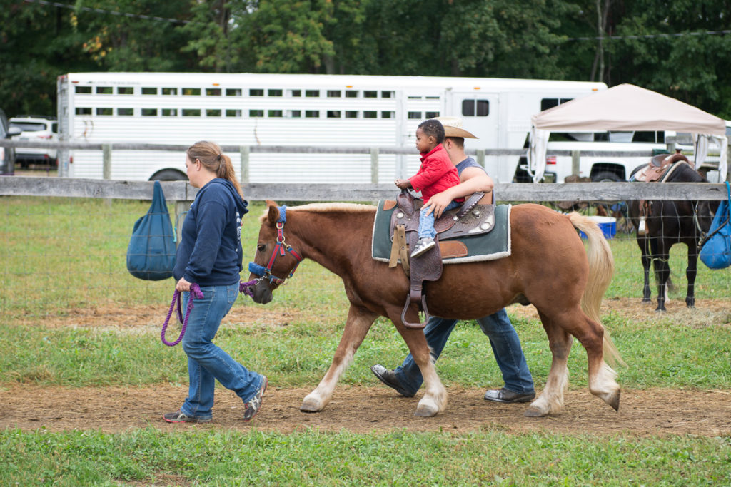 Apple Picking, Pumpkins & Pony Rides – Storied and Styled
