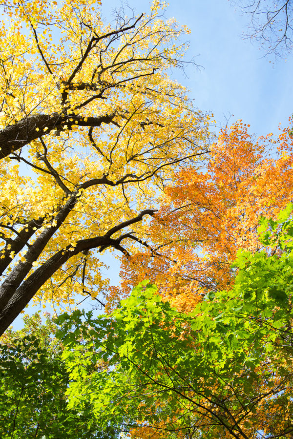 The Perfect Fall Outing: Storm King Art Center – Storied and Styled