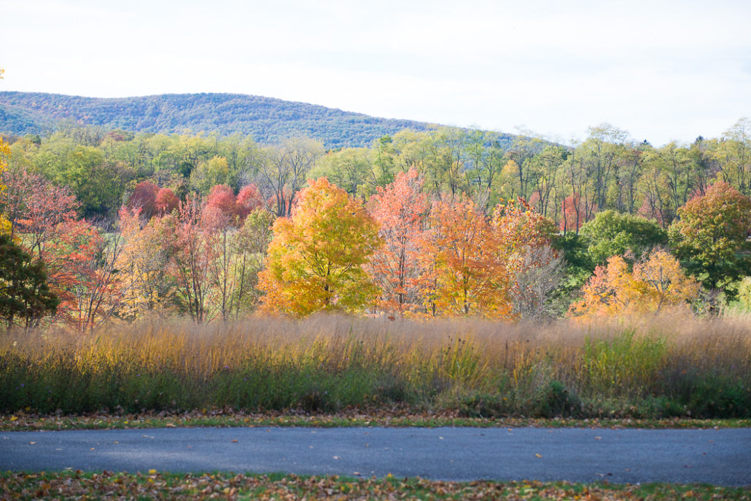 The Perfect Fall Outing: Storm King Art Center – Storied and Styled