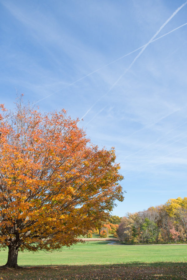 The Perfect Fall Outing: Storm King Art Center – Storied and Styled