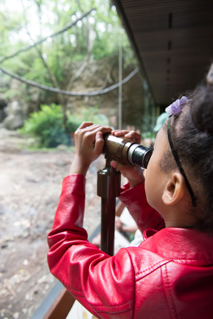 Visiting The Bronx Zoo – Storied and Styled