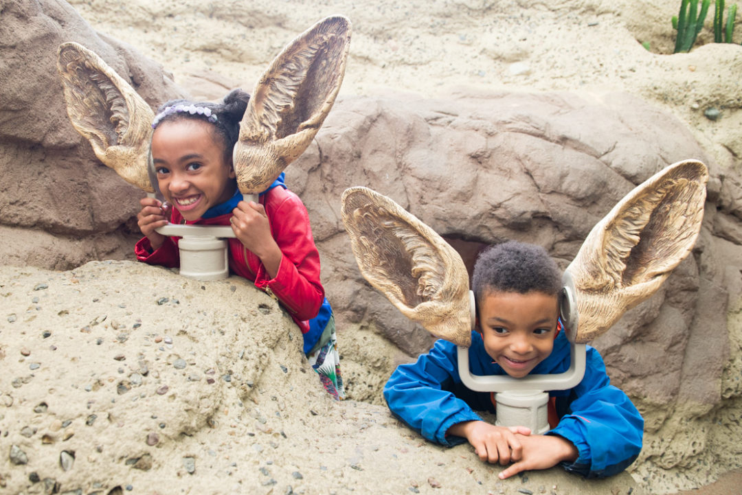 Visiting The Bronx Zoo – Storied and Styled