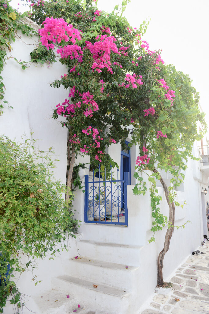 Travelogue: 8 Days in Greece – Storied and Styled
